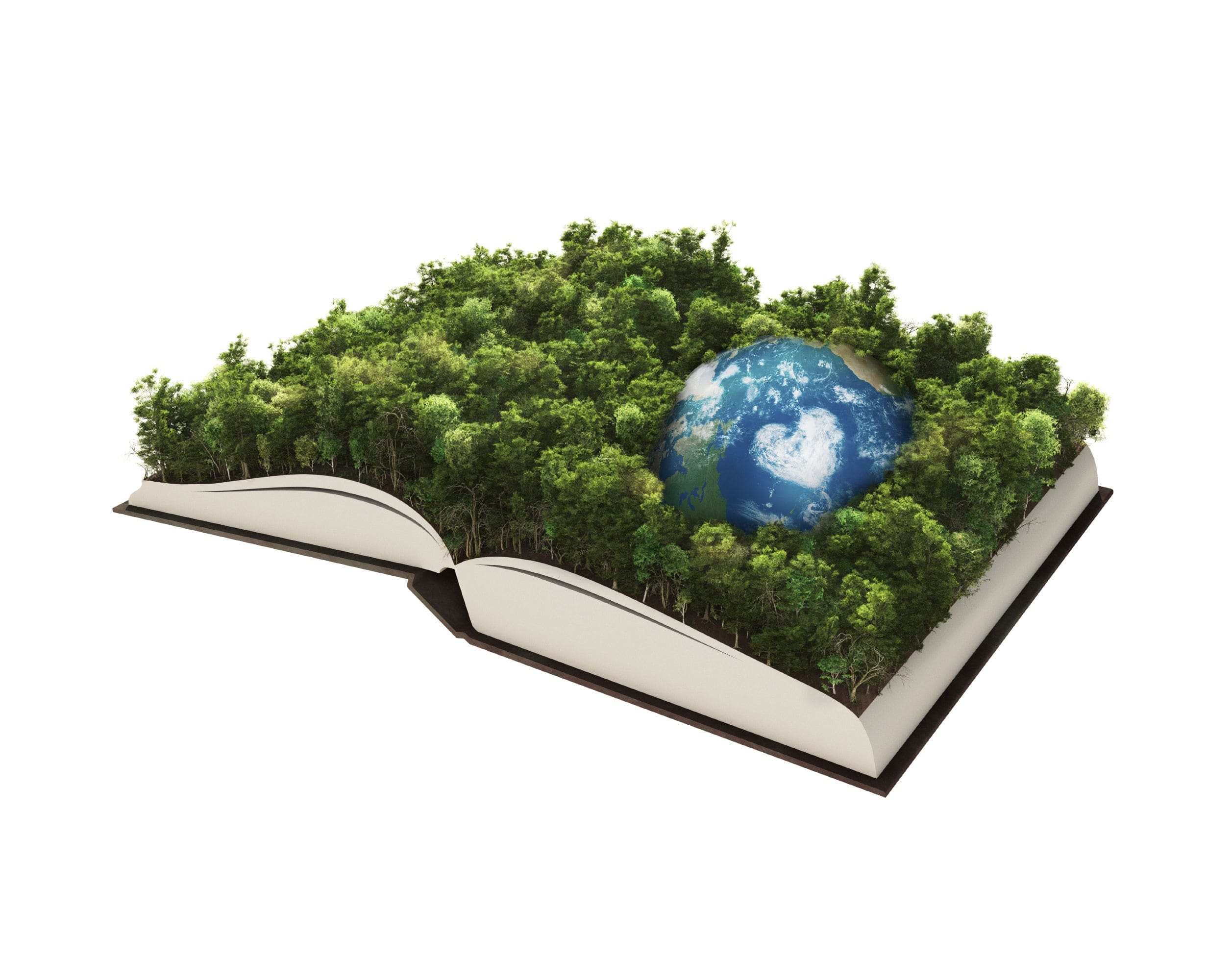 Going to Extra Extents for Our Environment – University Loft Company