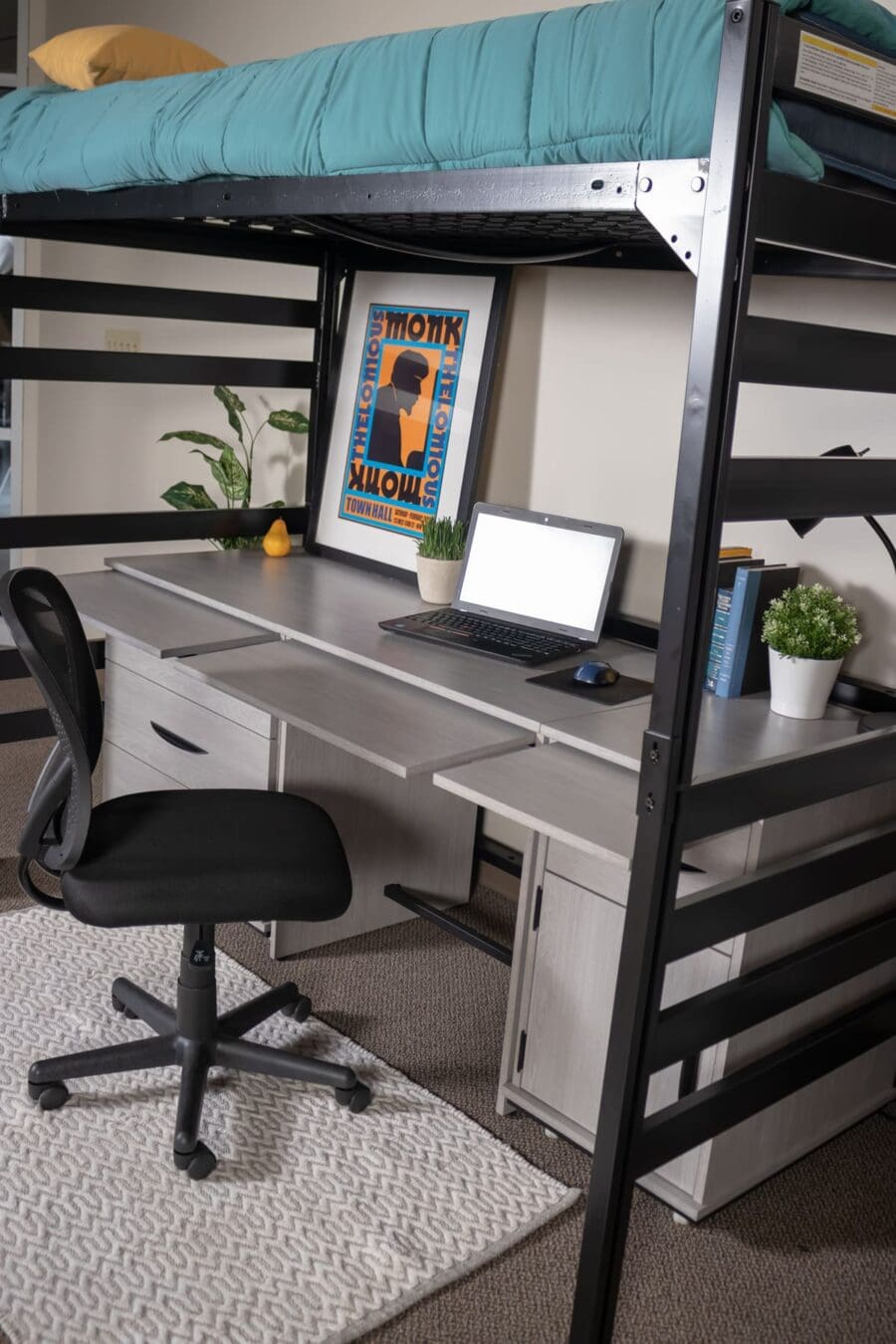 5 Amazing Things the Calla Series Brings to Your Student Room ...