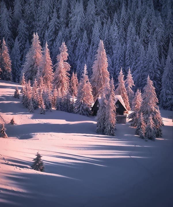 10 Things to do When You're Snowed In - University Loft Company